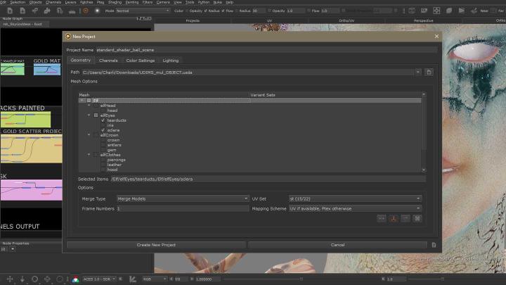 Mari Features | 3D Tools for Digital Painting